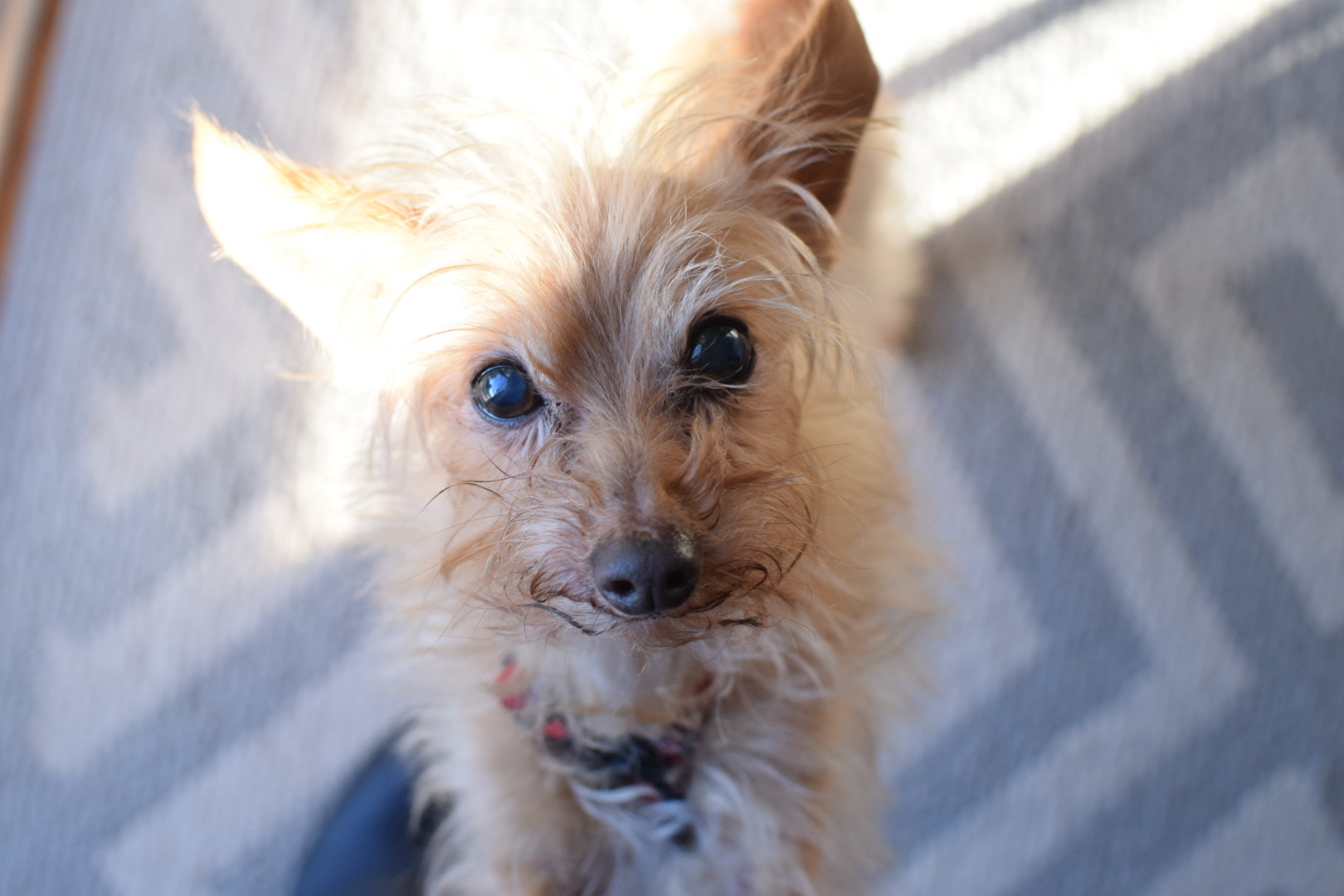 Meredith Beck – rules of composition – Samford Photo